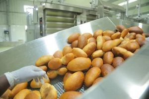 በቀን 2 ሚሊየን ዳቦ የሚያመርተው የሸገር ዳቦ ፋብሪካ ተመረቀ – Kefta